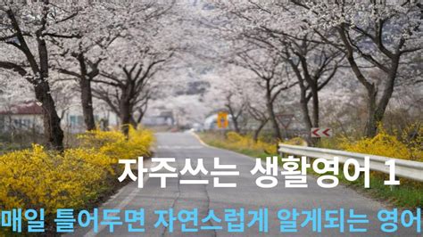 자주 쓰는 생활영어①자연스럽게 듣기만 하세요부드러운 목소리자동암기듣기영어수면영어koreanenglish