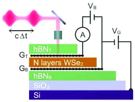 Hbn Graphene Wse 2 Hbn Based Integrated Heterostructures For Ultrafast Download Scientific