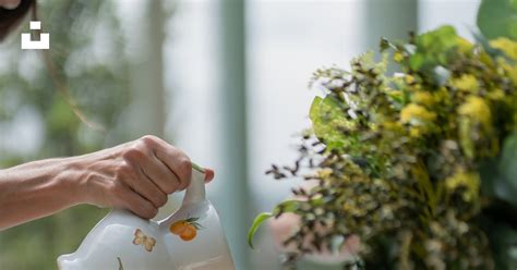 유리잔에 오렌지 주스를 붓는 여자 사진 Unsplash의 무료 요리 이미지