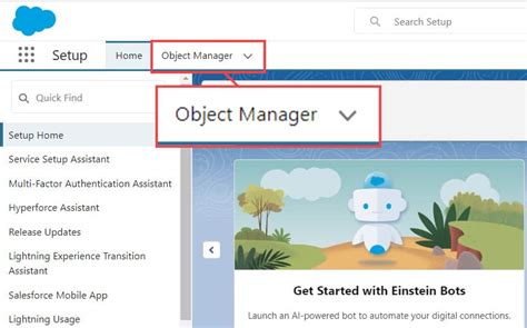 Picklistcount Function In Salesforce Count Selected Values In Multi