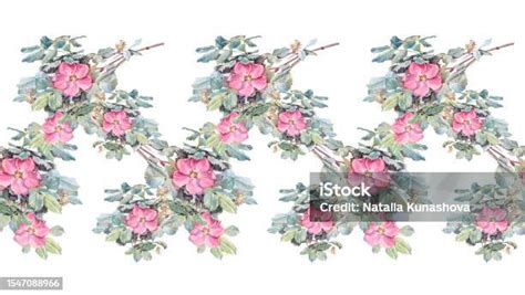 수채화 꽃 개가 있는 이음매 없는 테두리가 흰색 배경에 장미를 피웠다 나뭇잎과 야생 분홍색 장미 엉덩이가 있는 손으로 그린 여름