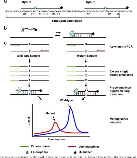 Figure 2 From Multiplex Real Time Pcr Melting Curve Assay To Detect Drug Resistant Mutations Of