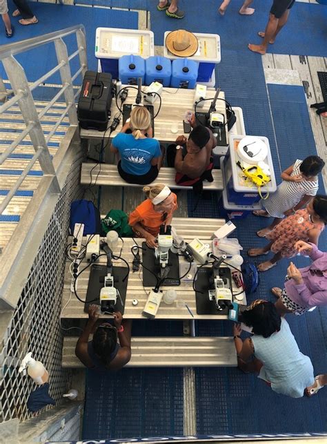 Coral Larval Project Gbr Biology