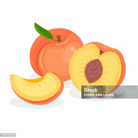 흰색 배경에 고립 된 신선한 전체 절반 잘라 슬라이스와 복숭아 조각세트 복숭아류에 대한 스톡 벡터 아트 및 기타 이미지 복숭아류 복숭아색 천도복숭아 Istock