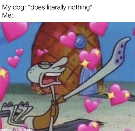 Why She So Fucking Cute R Wholesomememes