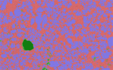 Image Analysis For Microscopy Made Simple With Machine Learning Clemex