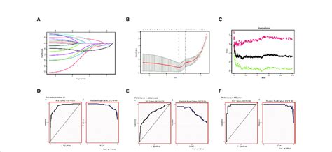 machine learning screening genes and modeling a lasso coefficient