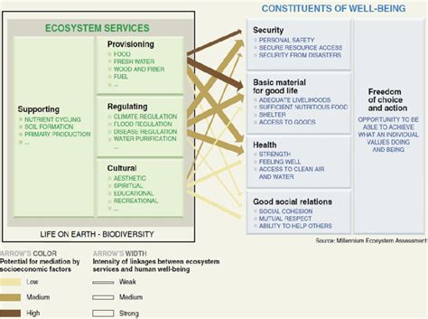 The Conceptual Framework Of Ecosystem Services And Their Linkages To