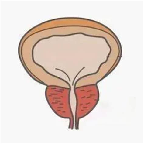 China Prostate Solution Factory Prostate Solution Supplier