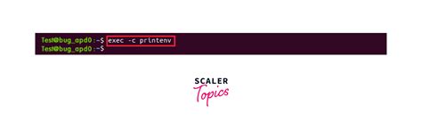 What Is Exec Command In Linux Scaler Topics
