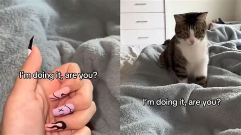 To Jest Ta Wpadka Na Tiktoku Dziewczyna Przypadkowo Pokaza A Wiadomo Co Boop Pl