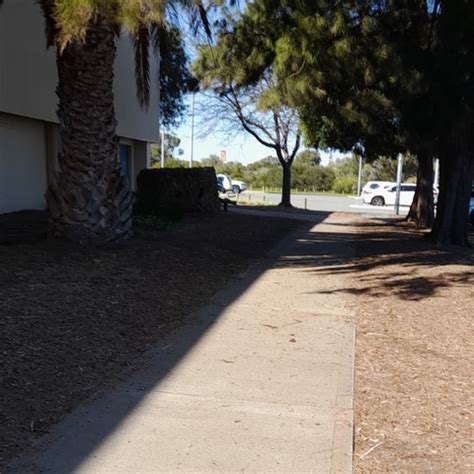 Isabelle Slater Youtube