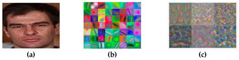 Applied Sciences Free Full Text Deep Convolutional Neural Network Based Approaches For Face