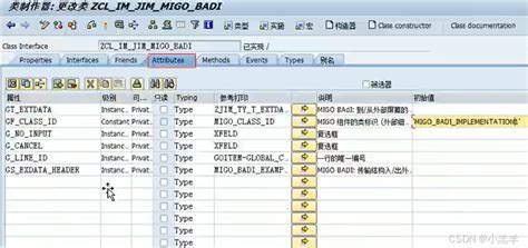 Sap Abap开发 第三代增强示例（badi）sap Badi Csdn博客