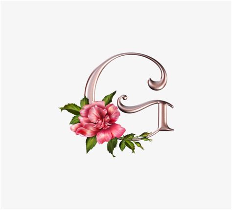花 快图网 免费PNG图片免抠PNG高清背景素材库kuaipng