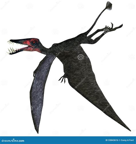 Pterosaur Cartoons Illustrations And Vector Stock Images 2012 Pictures