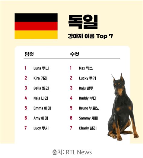 더쿠 한국 일본 미국 독일 개 이름 순위를 알아보자