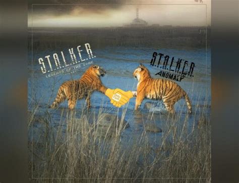 S T A L K E R Anomaly Mod Goes Official On GOG With GSC Game World Support Happy Gamer