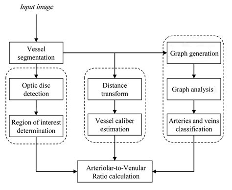 Block Diagram Of The Proposed Method For Avr Estimation Download