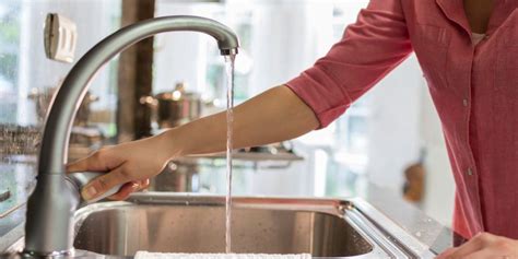How To Disinfect Your Water Bottle A Step By Step Guide Introduction
