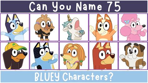 Can You Name Bluey Characters Bluey Quiz YouTube