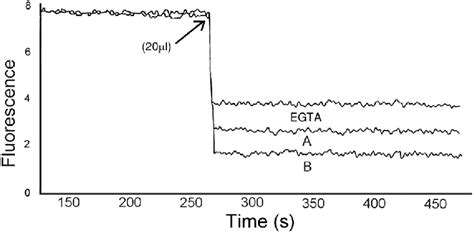 Optimization Of Fura 2 Assay Conditions Peca Pj15 Cells Were Treated