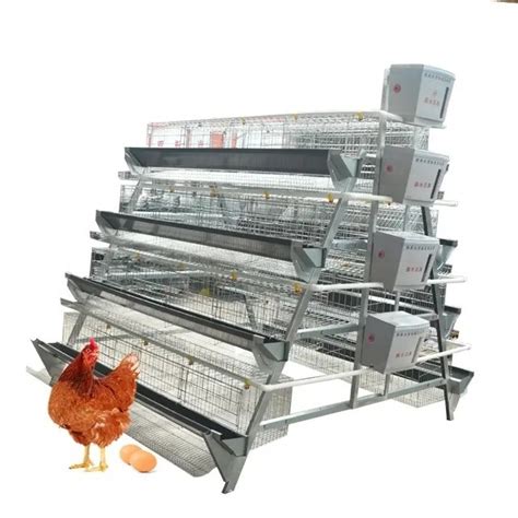 Modern Design Chicken Farm Automatic Battery 3 Tiers 4 Tiers Day Old