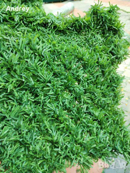 Декоративна Мрежа Жива плет в Огради и мрежи в гр Смолян Id42412809 Bazar Bg