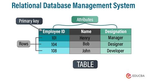 Relational Database Management System