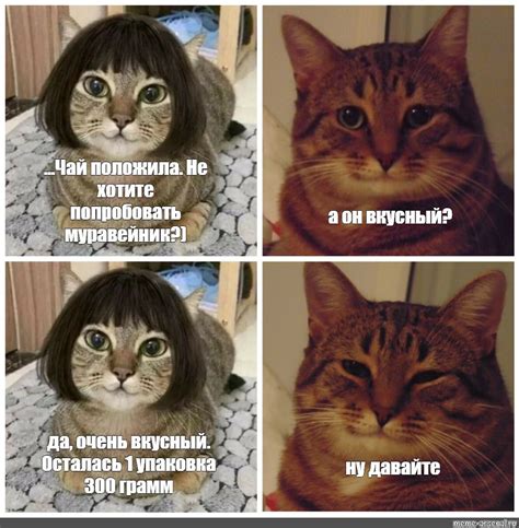 Комикс мем Чай положила Не хотите попробовать муравейник а он вкусный да очень вкусный