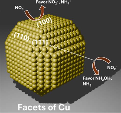 Understanding The Electrocatalytic Reduction Of Nitrate