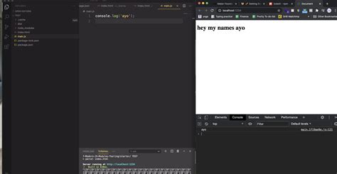 Javascript Parceljs Referencing Files From Dis Folder Instead Of The
