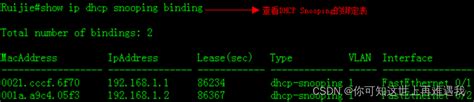 锐捷交换机——dhcp Snooping Csdn博客