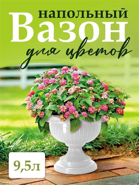 Горшок вазон кашпо для цветов орхидеи суккулентов кактусов фиалок растений фикуса
