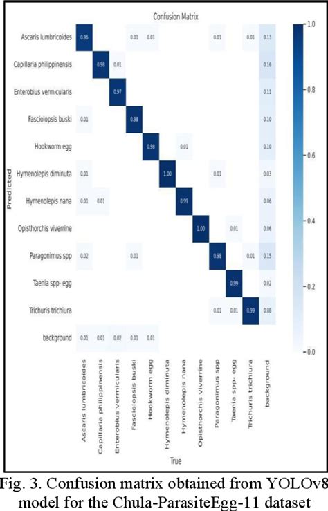Figure 3 From Parasiteai An Automated Parasitic Egg Detection Model From Microscopic Images