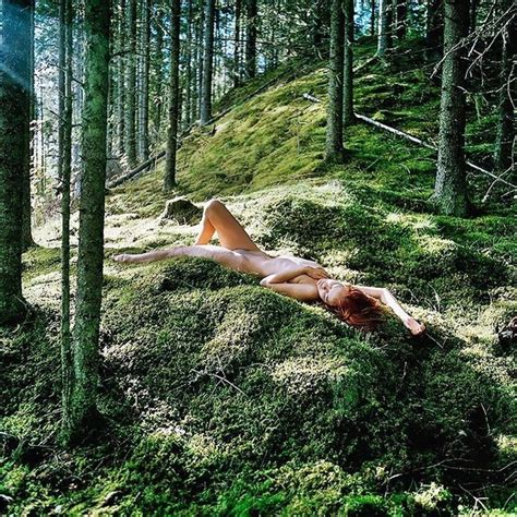 Woodland Pic