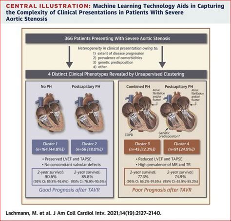 通过超声心动图和血流动力学数据的无监督凝聚聚类对主动脉瓣狭窄患者进行亚表型分析 Jacc Cardiovascular Interventions X Mol