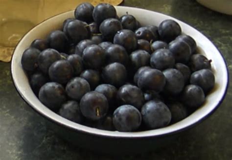 ქლიავის მწნილი იდეალური დანამატი ხორციანი კერძისთვის სასარგებლო რჩევები