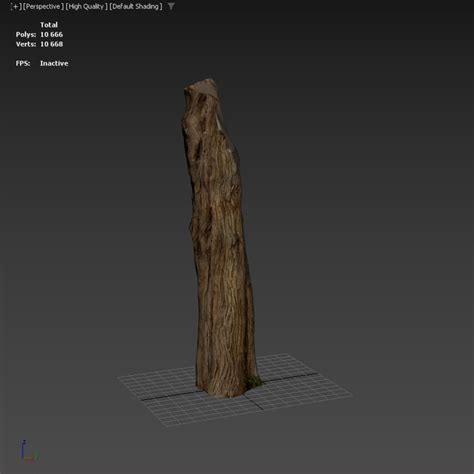 3d Ceder Trunk Scan Model Turbosquid 2206630