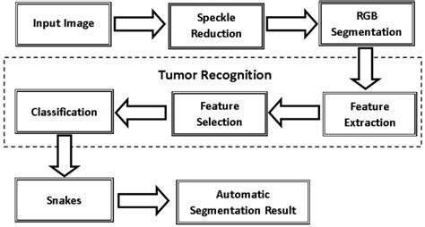 Flow Chart For The Proposed Segmentation Scheme Download Scientific Diagram