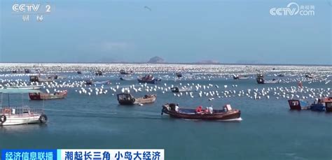 贻贝之乡蓝色牧场浙江舟山枸杞岛年产值超10亿元产业真鲜 龙华网 百万龙华人的网上家园