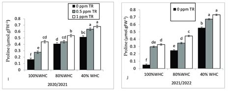 Effects Of Water Irrigation Levels And Foliar Application With Tr Download Scientific Diagram