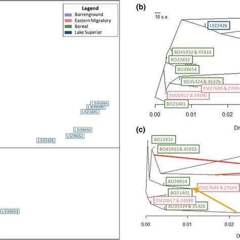 A Principal Component Analysis Pca Visualizing Genomic Variation
