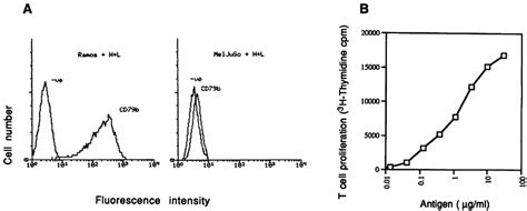 Mel Juso Cells Are Negative For Surface Expression Of Cd79b Ig β And Download Scientific