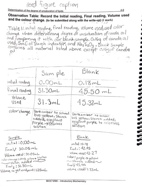 Biochem Lab4 Lab 4 BIOC 2580 Studocu
