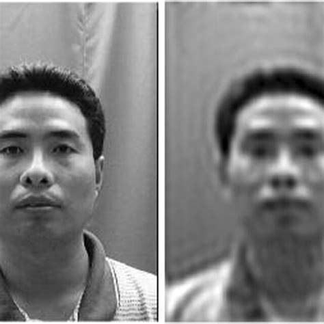 The Original Picture And The Low Frequency Part After Wavelet Transform