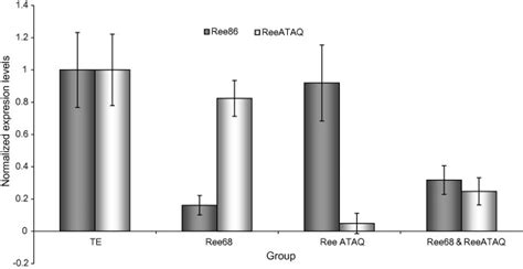 Quantitative Real Time Reverse Transcriptase Pcr Analysis Showing The Download Scientific