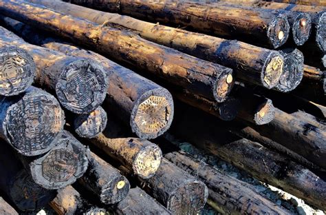 Preservation Of Timber