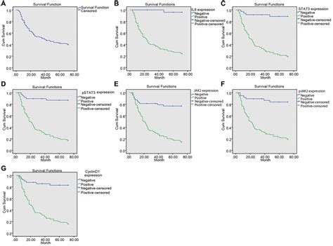Correlation Of IL 6 And JAK2 STAT3 Signaling Pathway With Prognosis Of