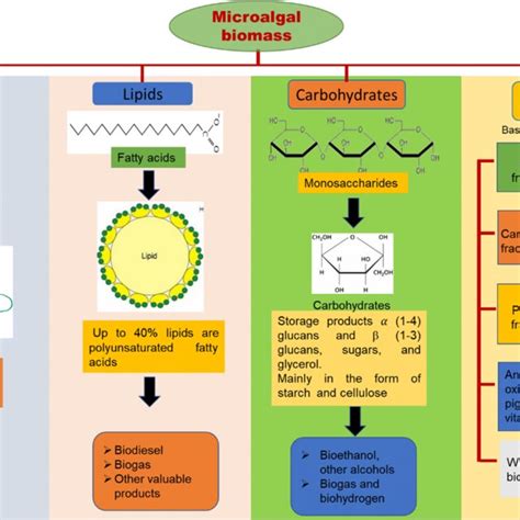 Types Of Microalgal Lipids Extraction Methods And Valuable Products